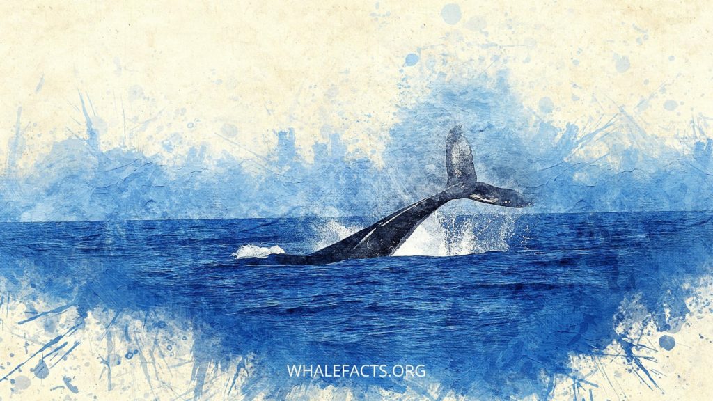 What Do Whales Mean in Dreams? Symbolism, Psychology, and Possible ...